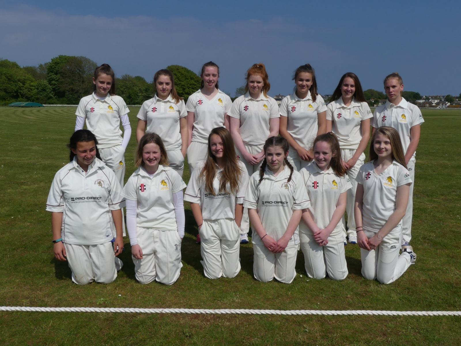 District Cricket - Devon Cricket