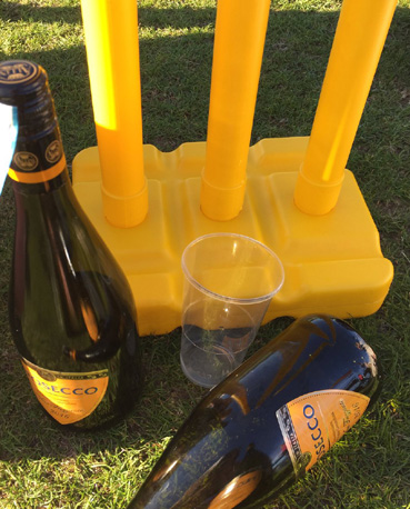 Wine & Wickets initiative gets women playing game for first time ...